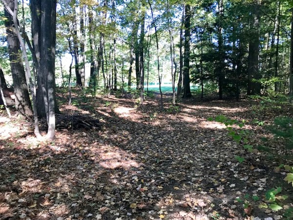 295 Maple St, East Longmeadow, MA 01028